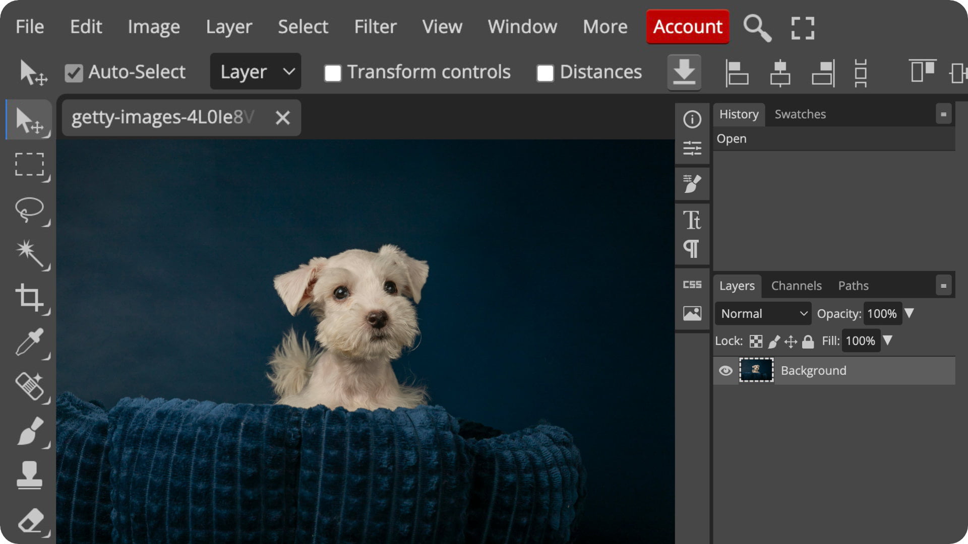 Photopea | Replace Photoshop with this free web image editor
